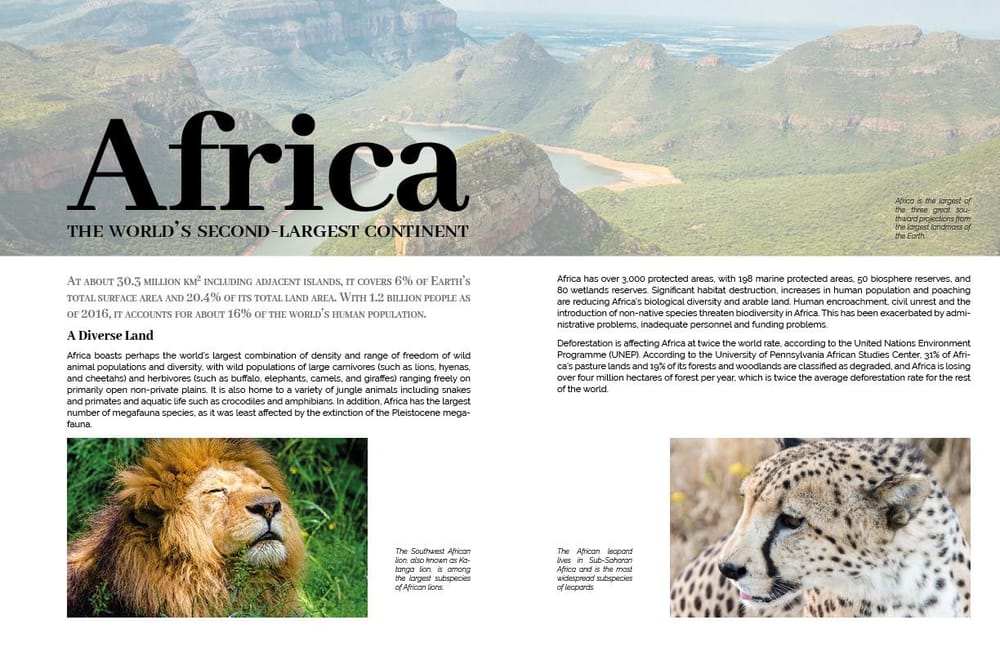 Africa Layouts | Skillshare Student Project