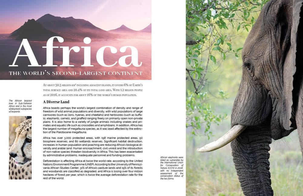 Africa Layouts | Skillshare Student Project
