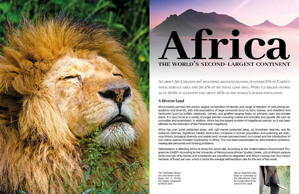 Africa Layouts | Skillshare Student Project