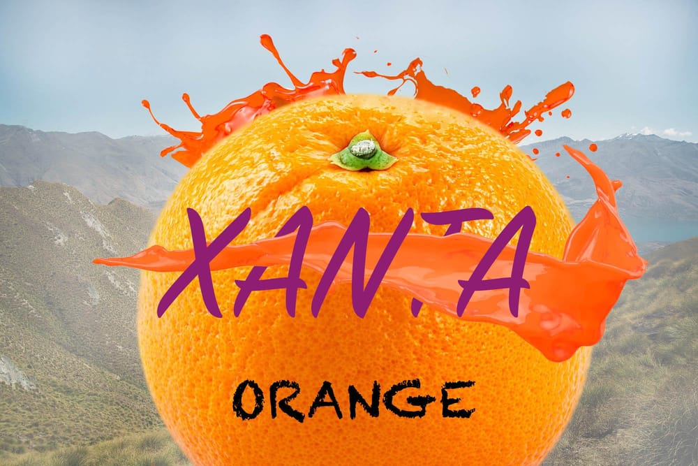 Class Projects | Skillshare Student Project