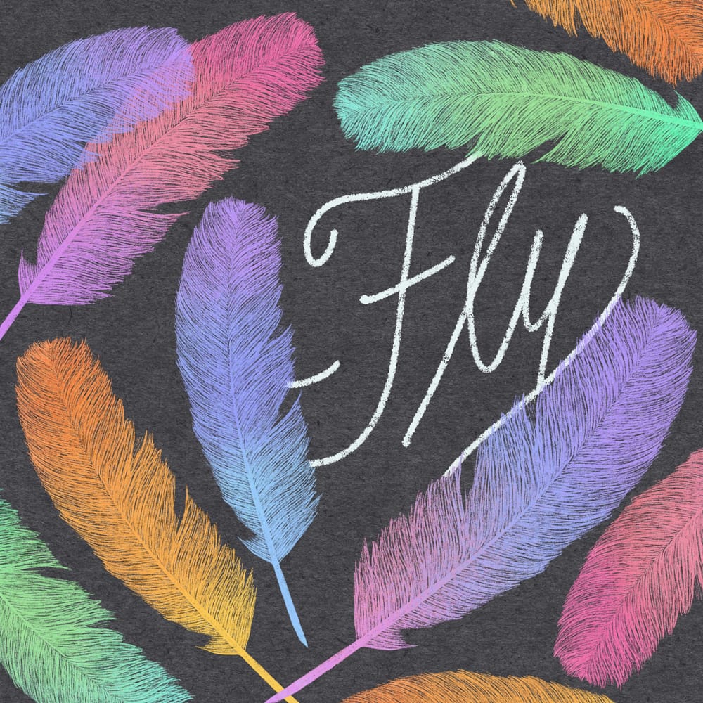 Fly | Skillshare Student Project