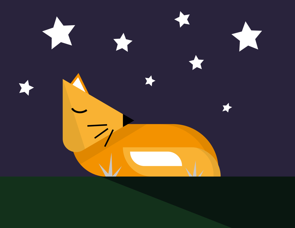 Adobe Illustrator Essential Training | Skillshare Student Project