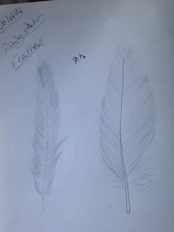 Daily sketch routine | Skillshare Student Project