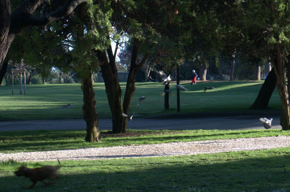 Composition Framing | Skillshare Student Project