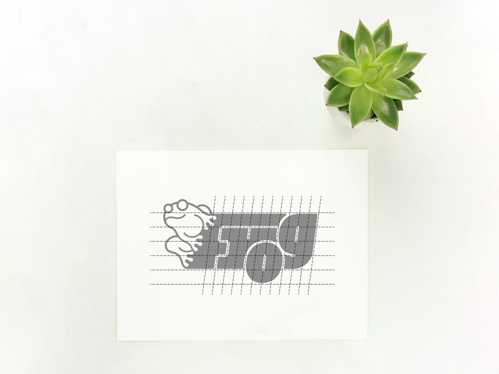 Frog | Skillshare Student Project