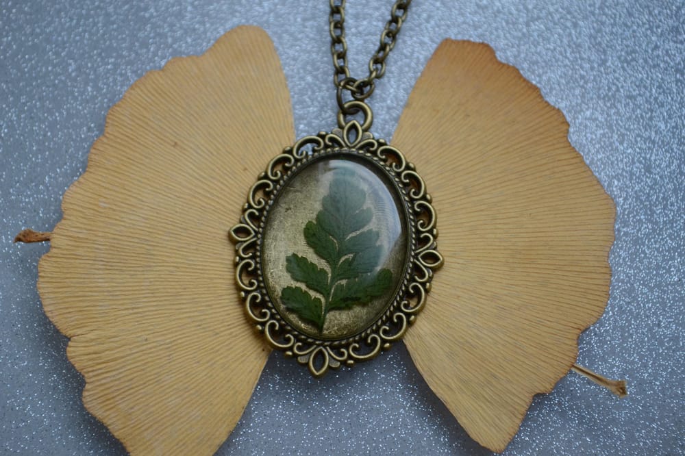 Fern collection | Skillshare Student Project