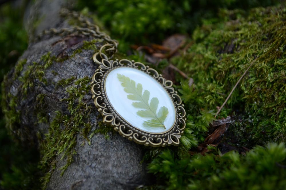 Fern collection | Skillshare Student Project