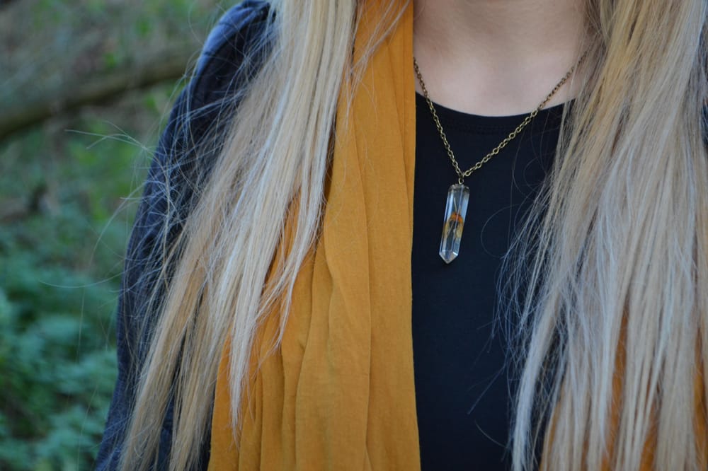 Fern collection | Skillshare Student Project