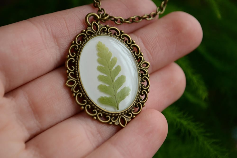 Fern collection | Skillshare Student Project