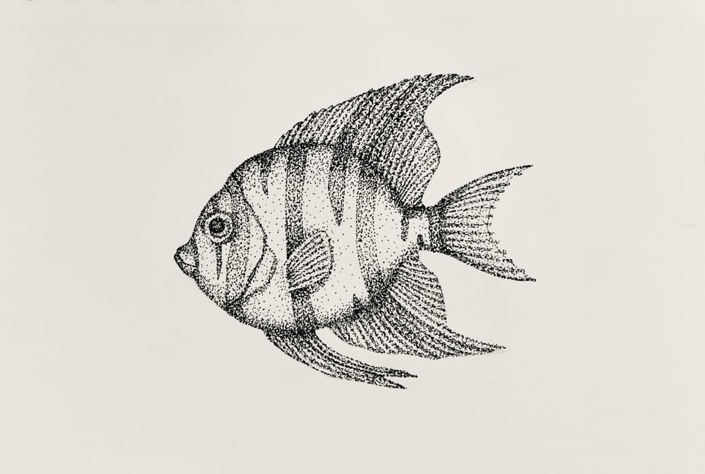 Stippling - Fish | Skillshare Student Project