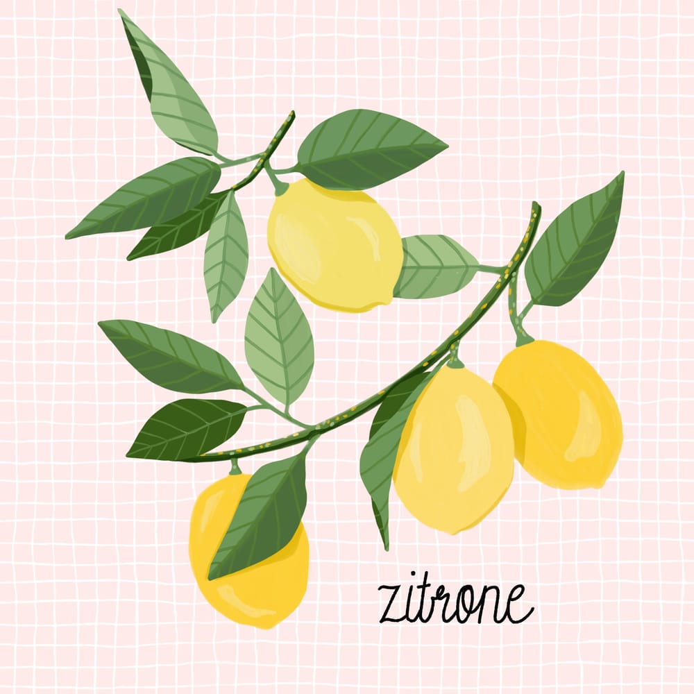 Lemon (Zitrone) | Skillshare Student Project