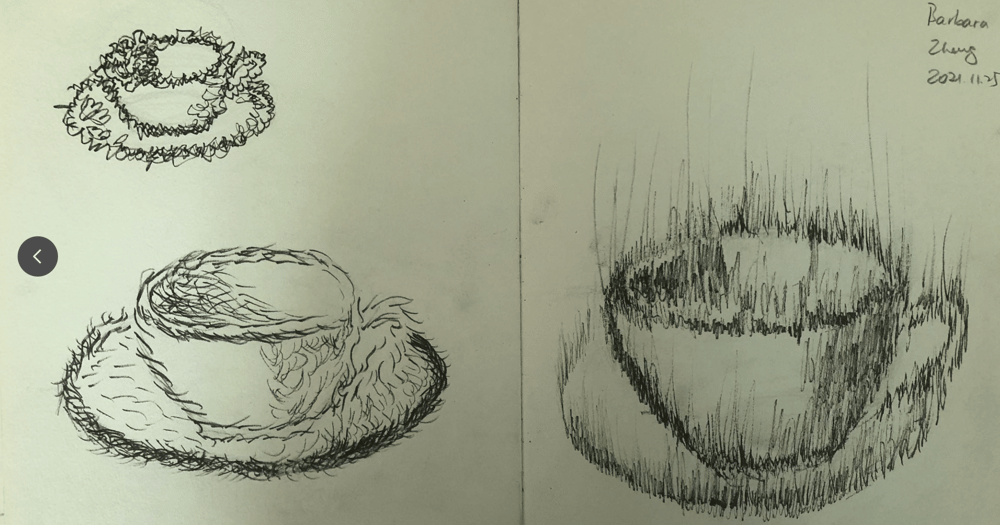The importance of lines | Skillshare Student Project