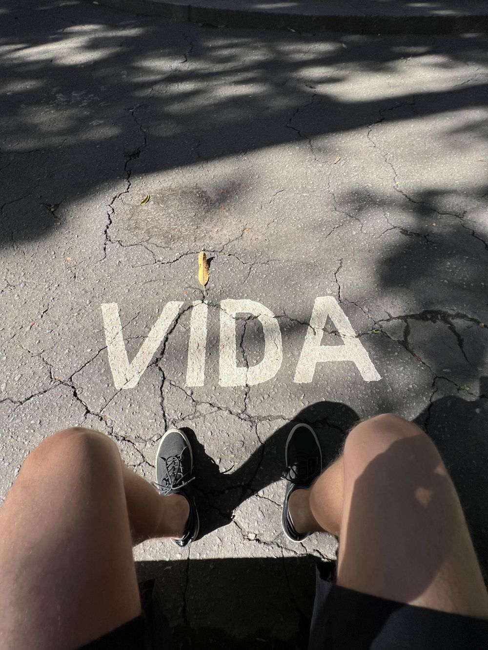 Rio - 2022 | Skillshare Student Project