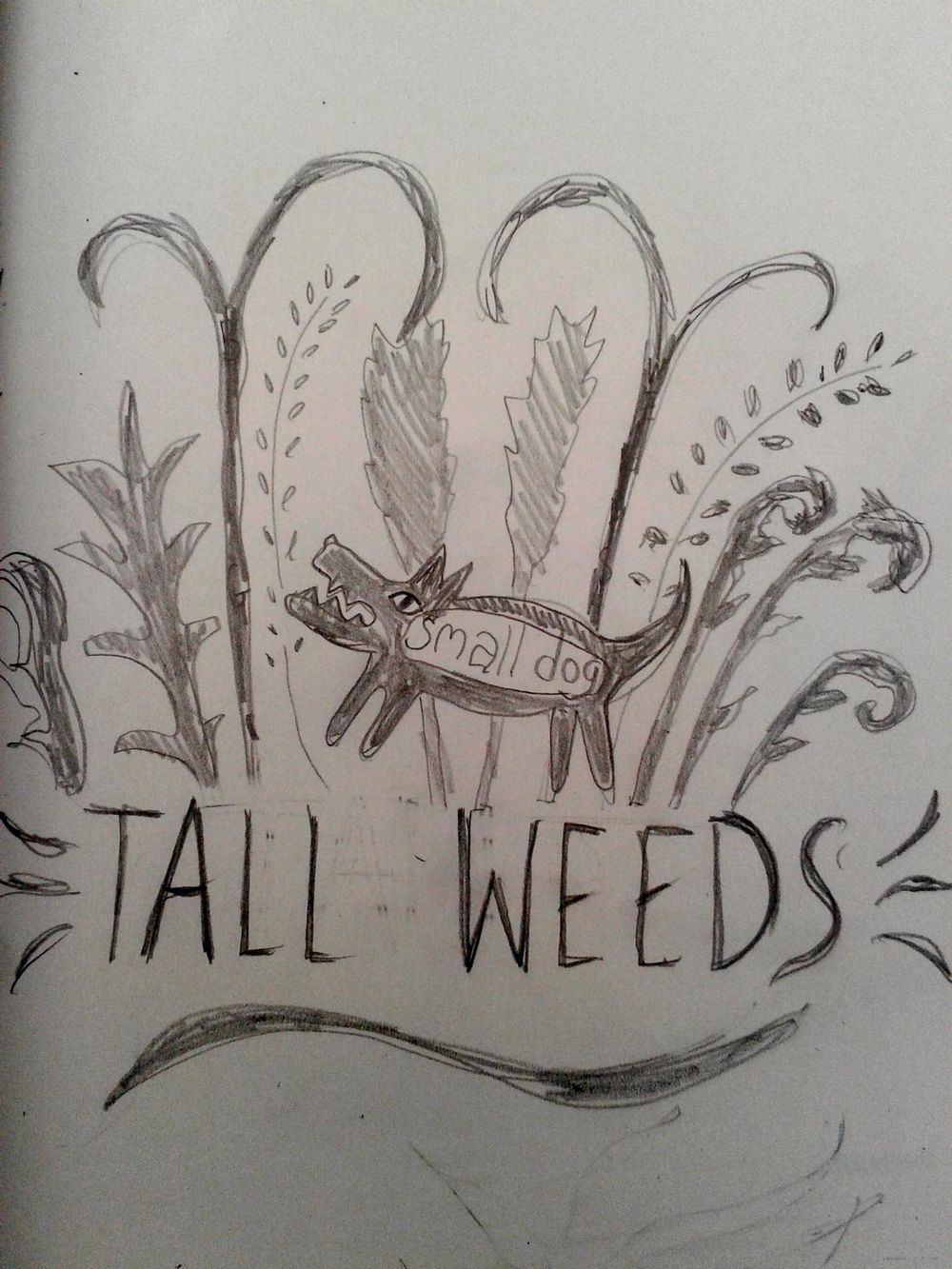 small dog, TALL WEEDS | Skillshare Student Project