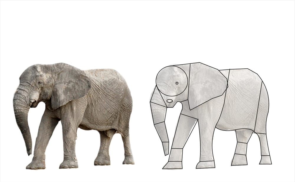 Breaking Down into simple shapes (bird) | Skillshare Student Project