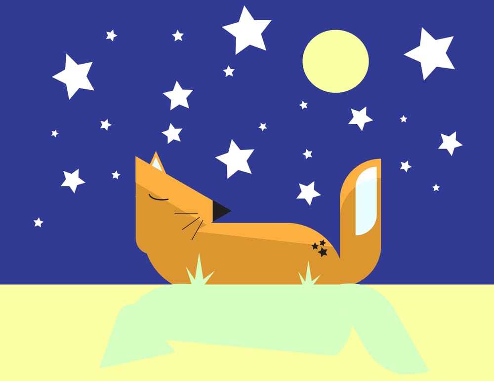 Fox Project | Skillshare Student Project