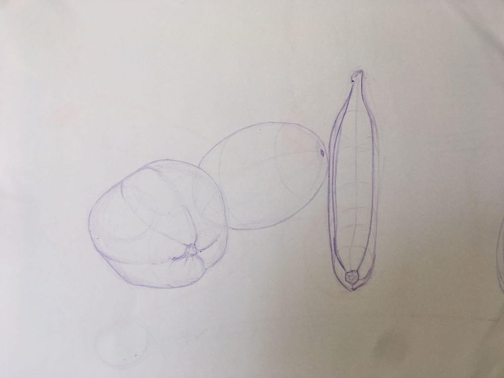 Organic forms | Skillshare Student Project