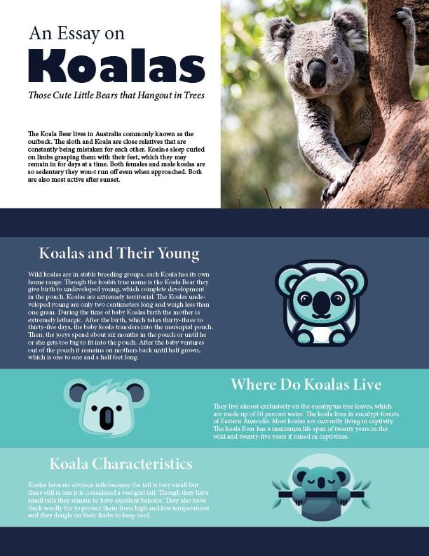 InDesign practice | Skillshare Student Project