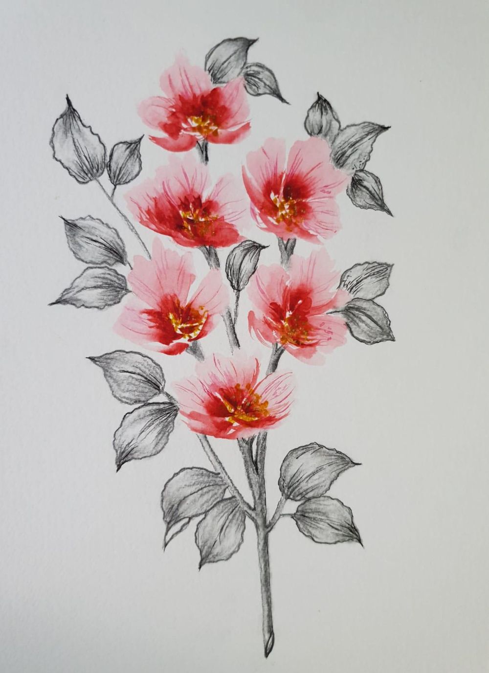 Watercolor & Graphite | Skillshare Student Project