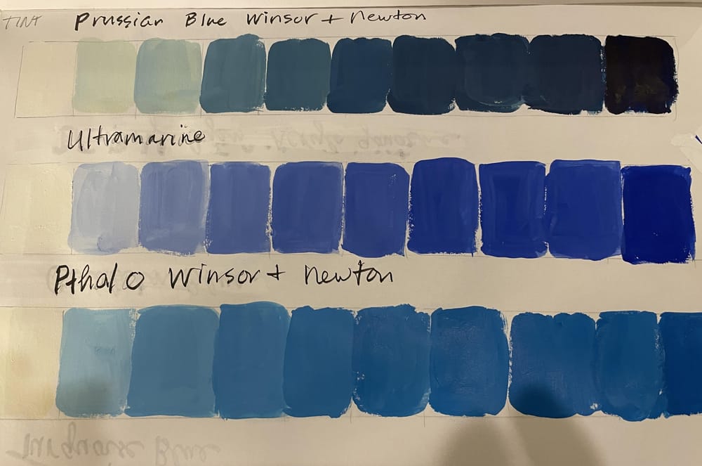 Color Collector | Skillshare Student Project