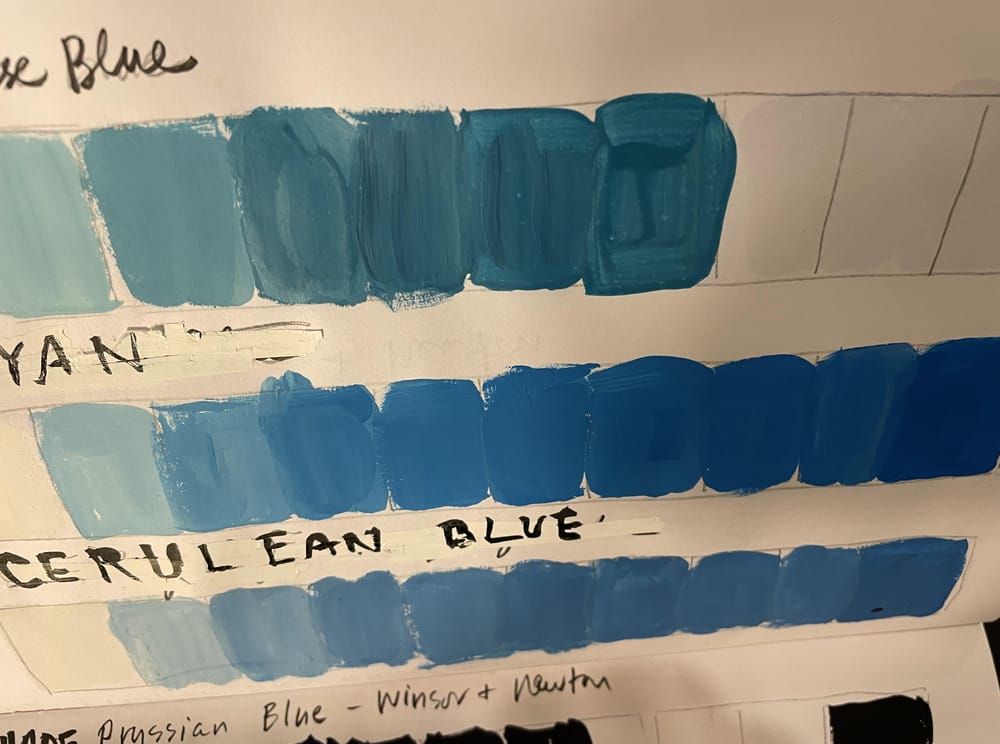 Color Collector | Skillshare Student Project