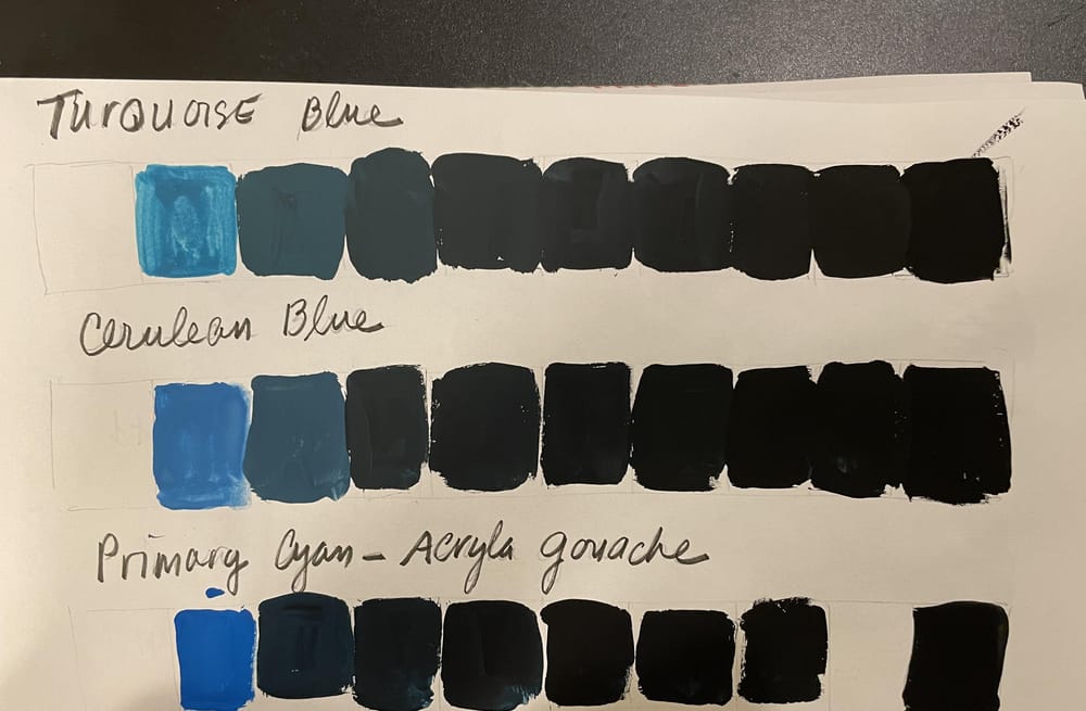 Color Collector | Skillshare Student Project