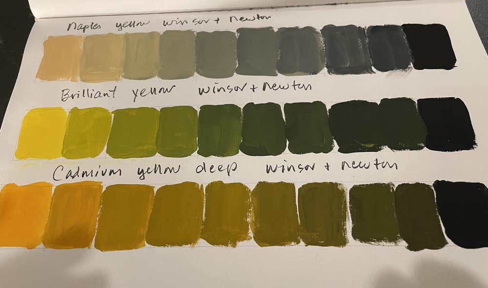 Color Collector | Skillshare Student Project