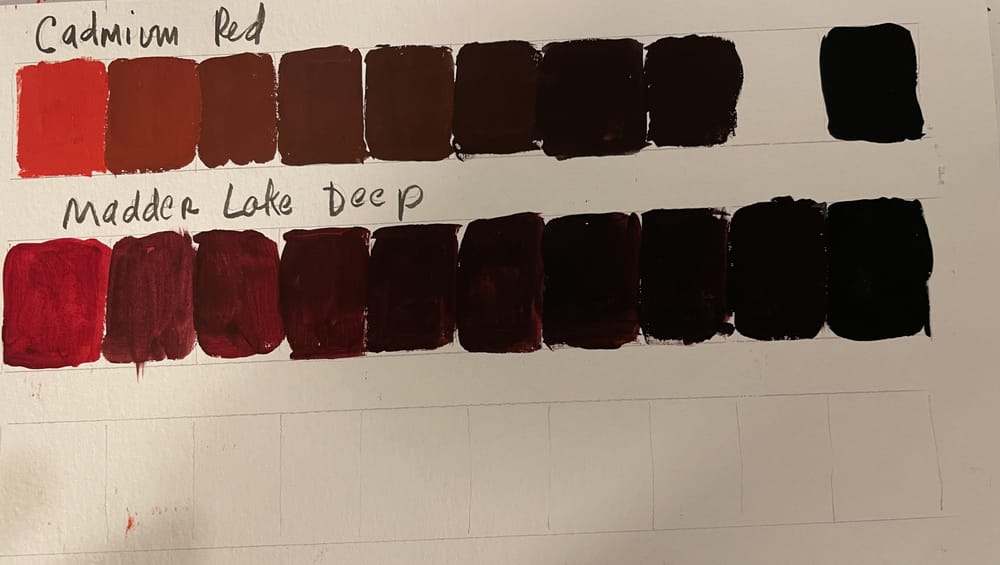 Color Collector | Skillshare Student Project