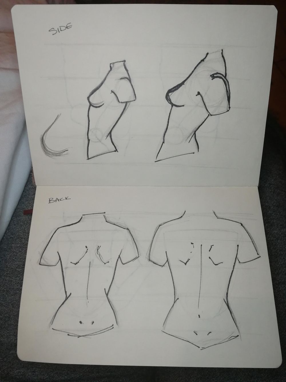 Female Torso Basic Shapes | Skillshare Student Project
