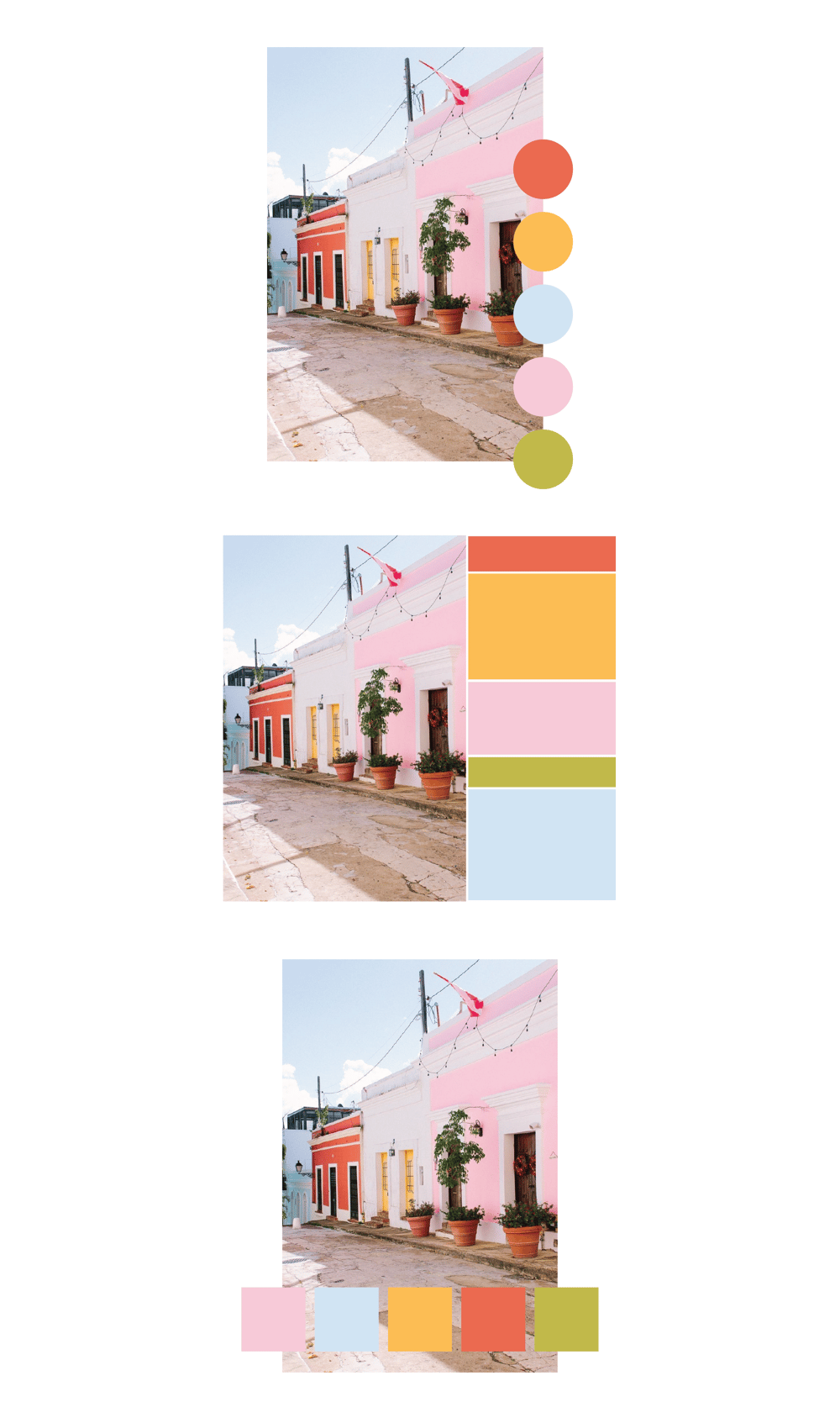 Vibrant Island Color Palette | Skillshare Student Project