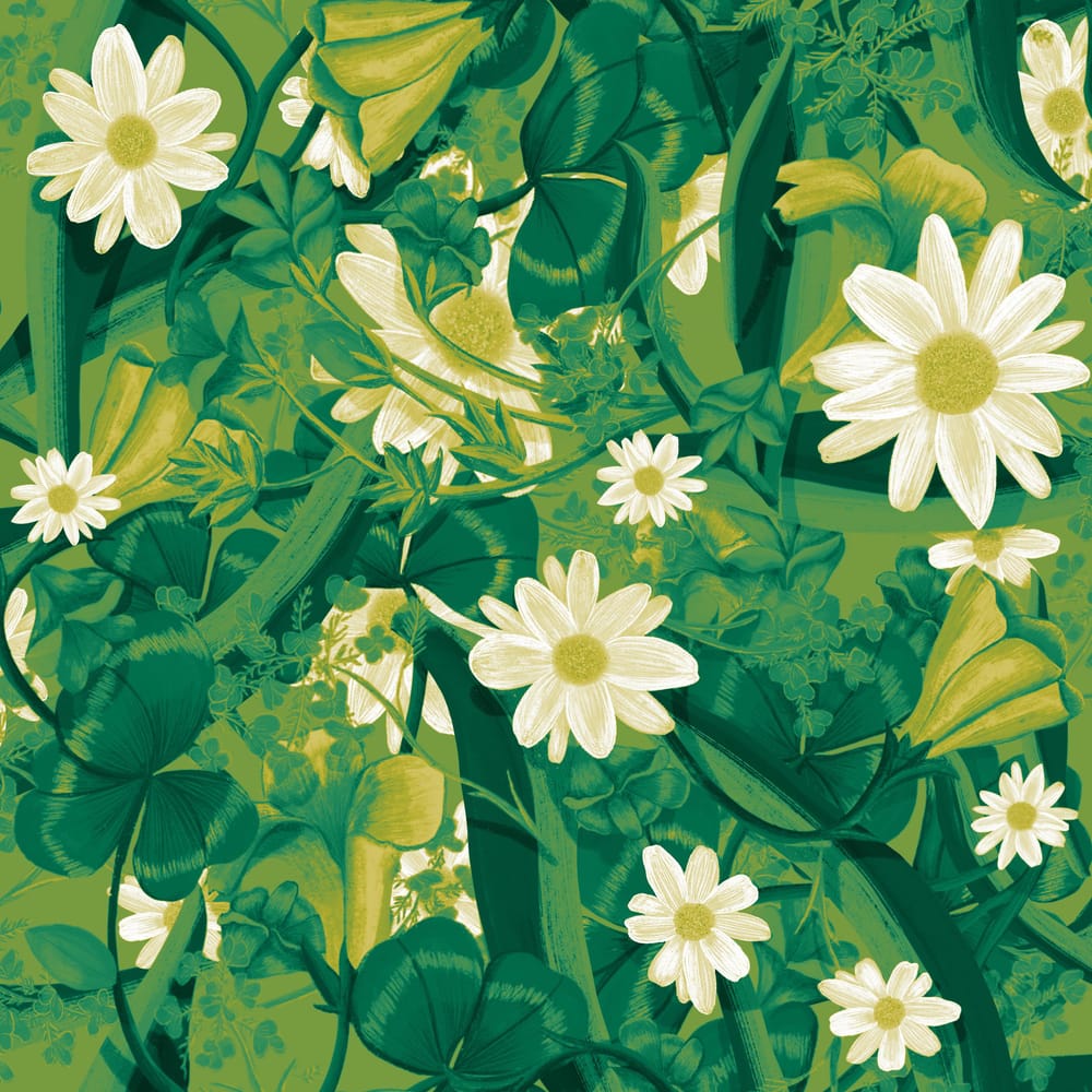 Origin of Luck | Skillshare Student Project