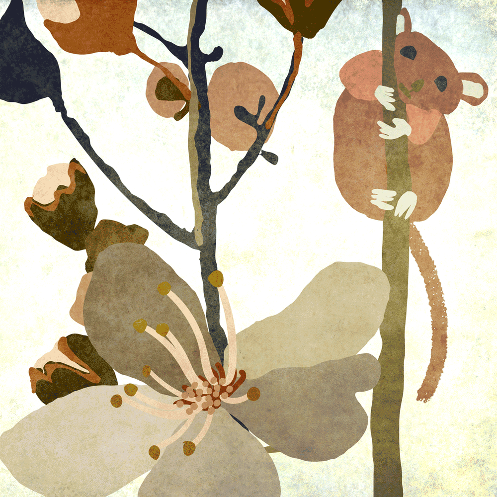 animation practice | Skillshare Student Project