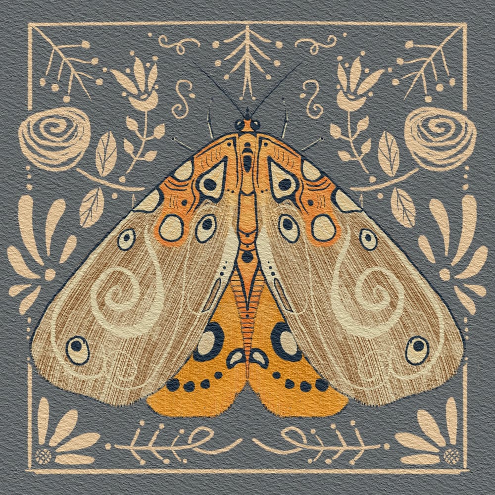 Magical Moths | Skillshare Student Project