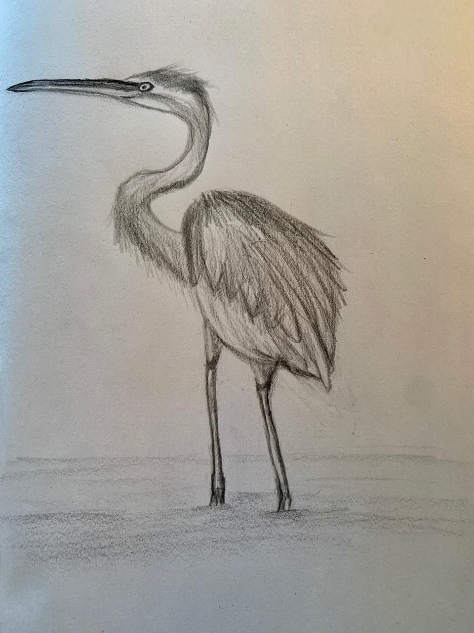 beginner class portfolio | Skillshare Student Project