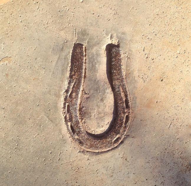 The Whitt Logotype | Skillshare Student Project