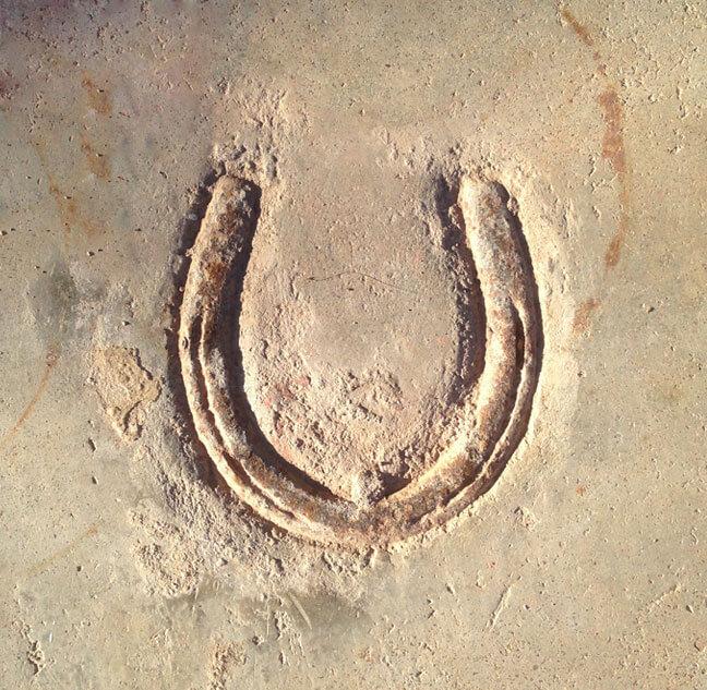 The Whitt Logotype | Skillshare Student Project