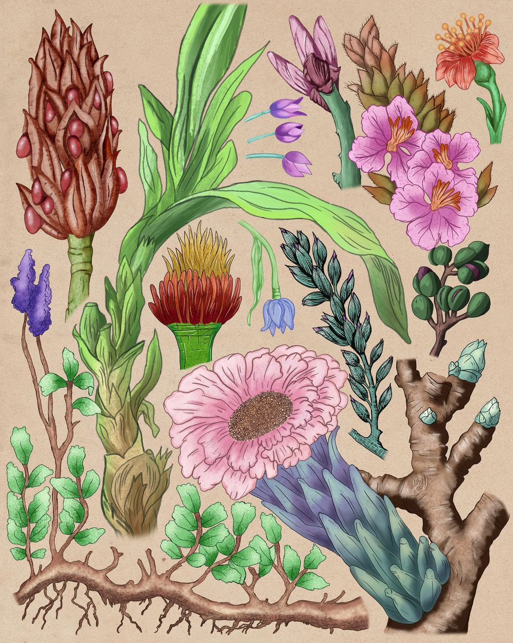 Beginners work | Skillshare Student Project