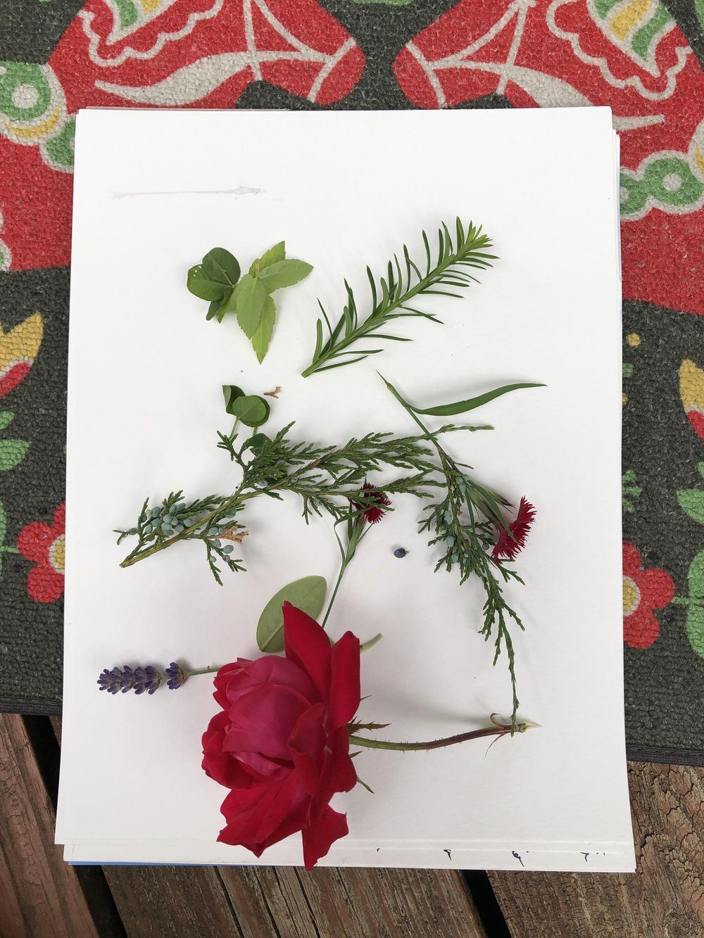 Nature to paper | Skillshare Student Project