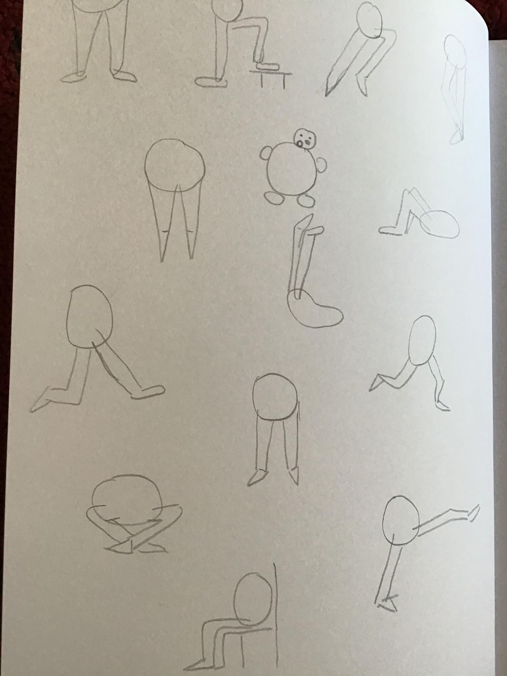 Anatomy exercises (updated) | Skillshare Student Project