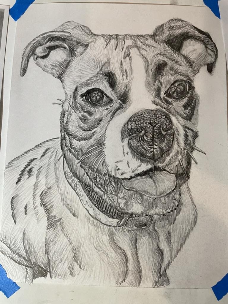 Dog | Skillshare Student Project