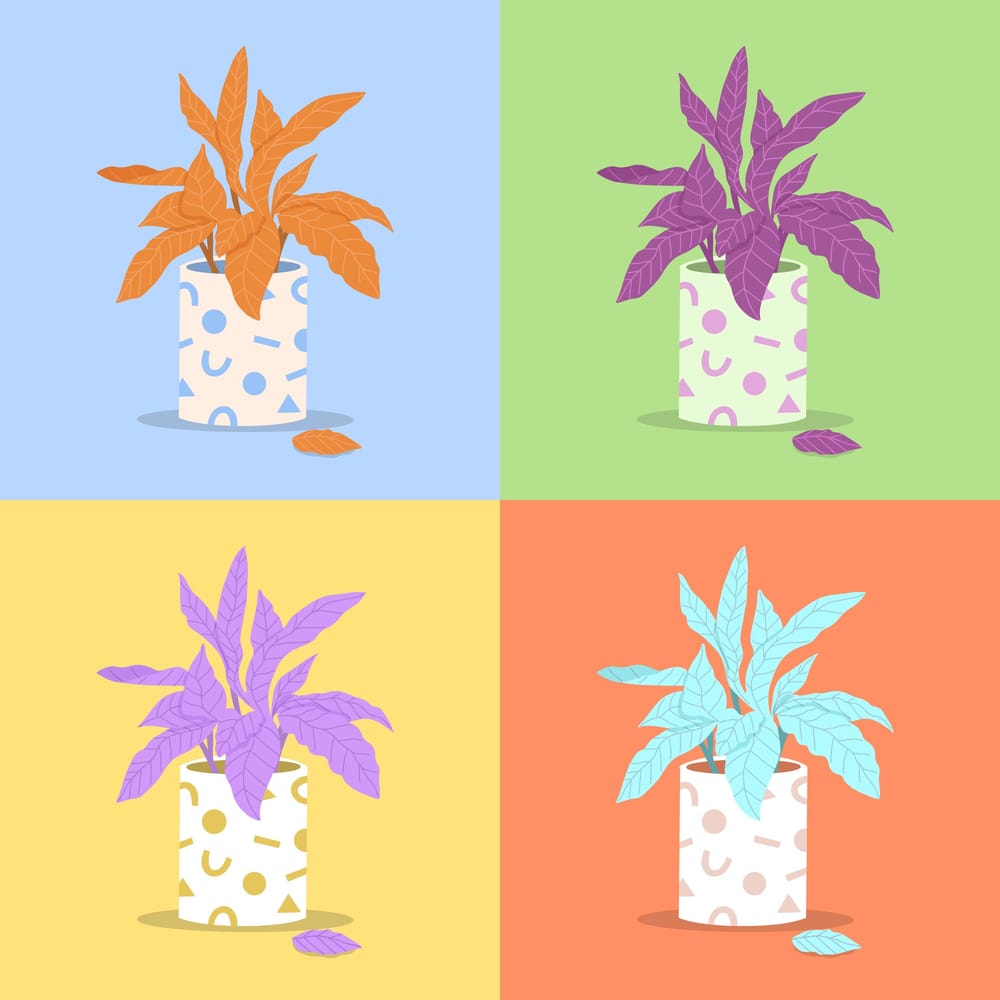 I Had Fun With Colours Skillshare Student Project