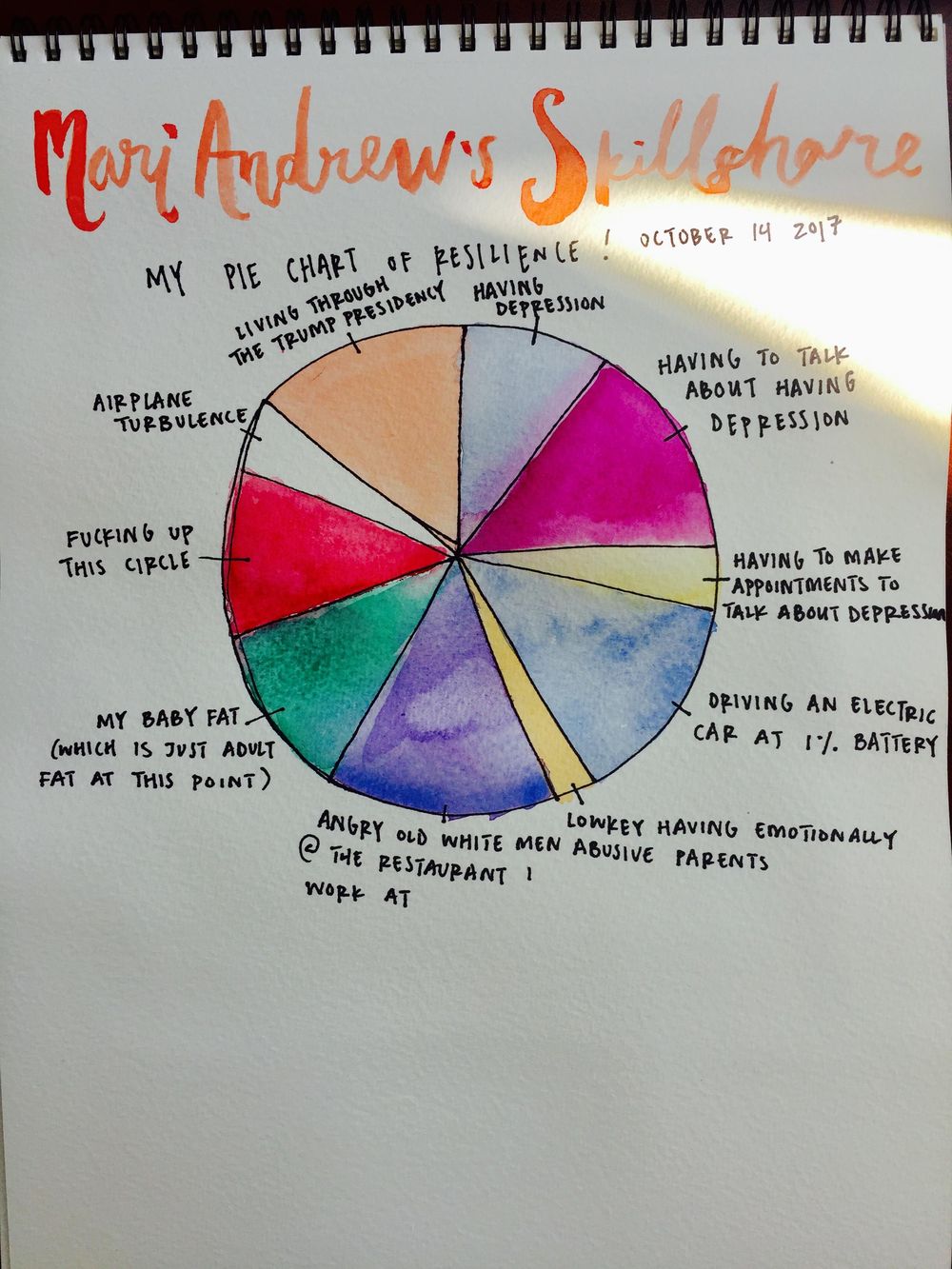 Pie Chart of Resilience | Skillshare Student Project