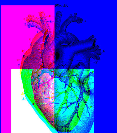 The Beat of My Heart | Skillshare Student Project