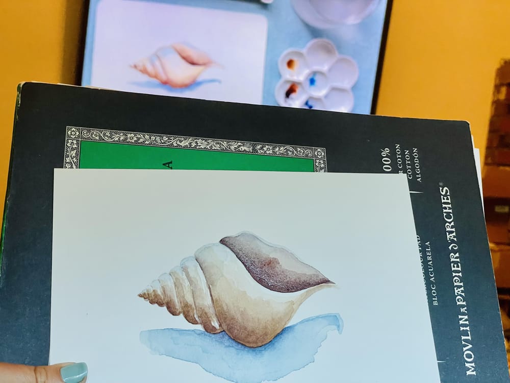 Watercolor Seashell | Skillshare Student Project