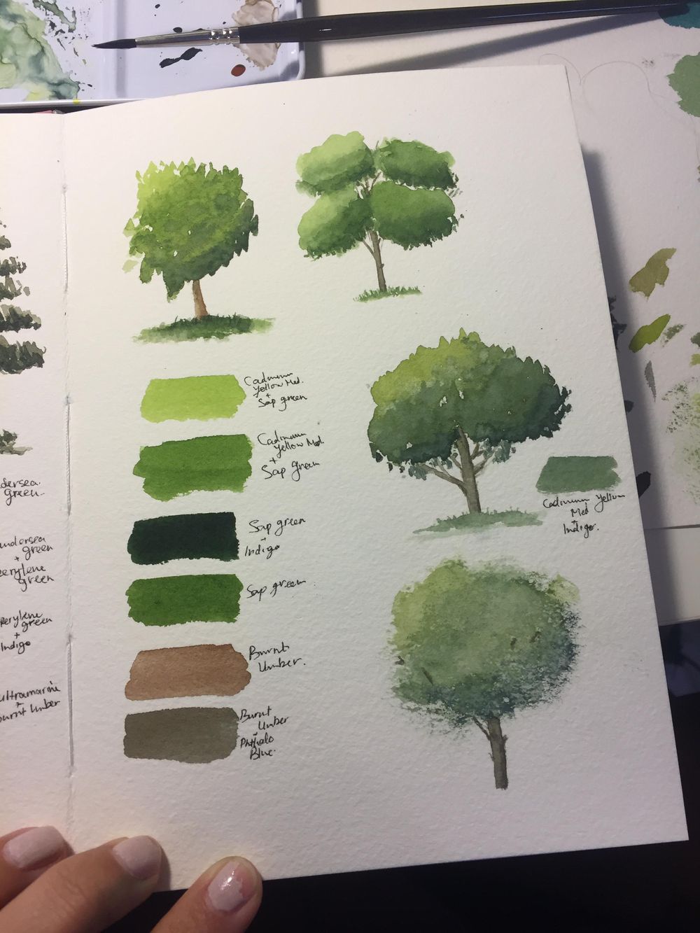 Trees | Skillshare Student Project