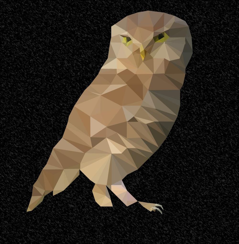 Owl // Low Poly | Skillshare Student Project