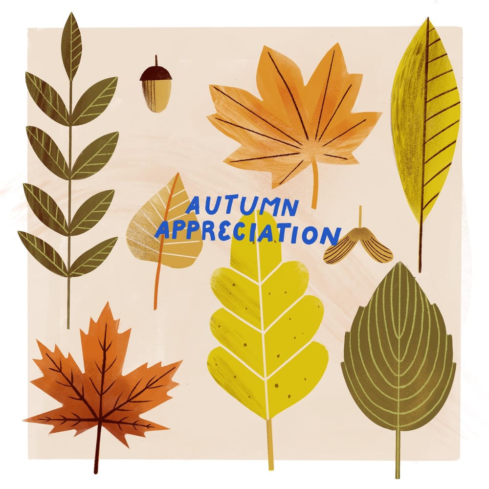 Autumn appreciation - Style class | Skillshare Student Project