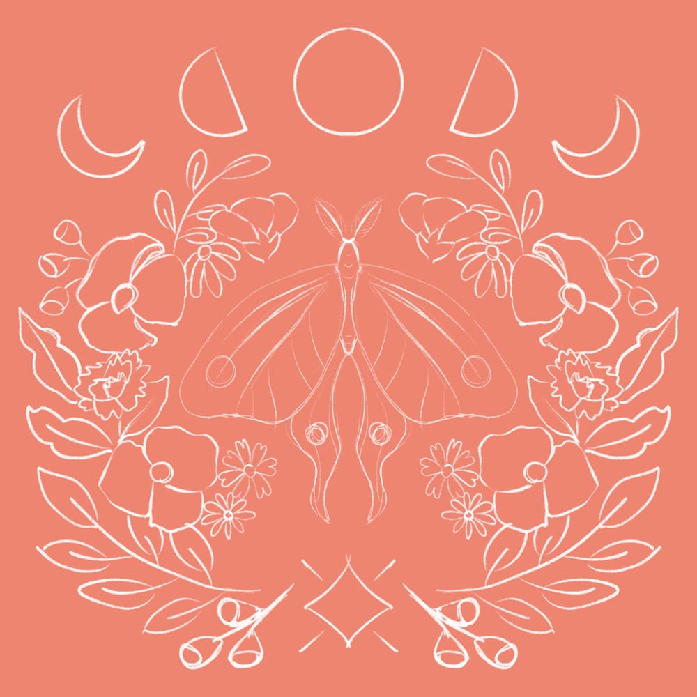 Magical moth | Skillshare Student Project