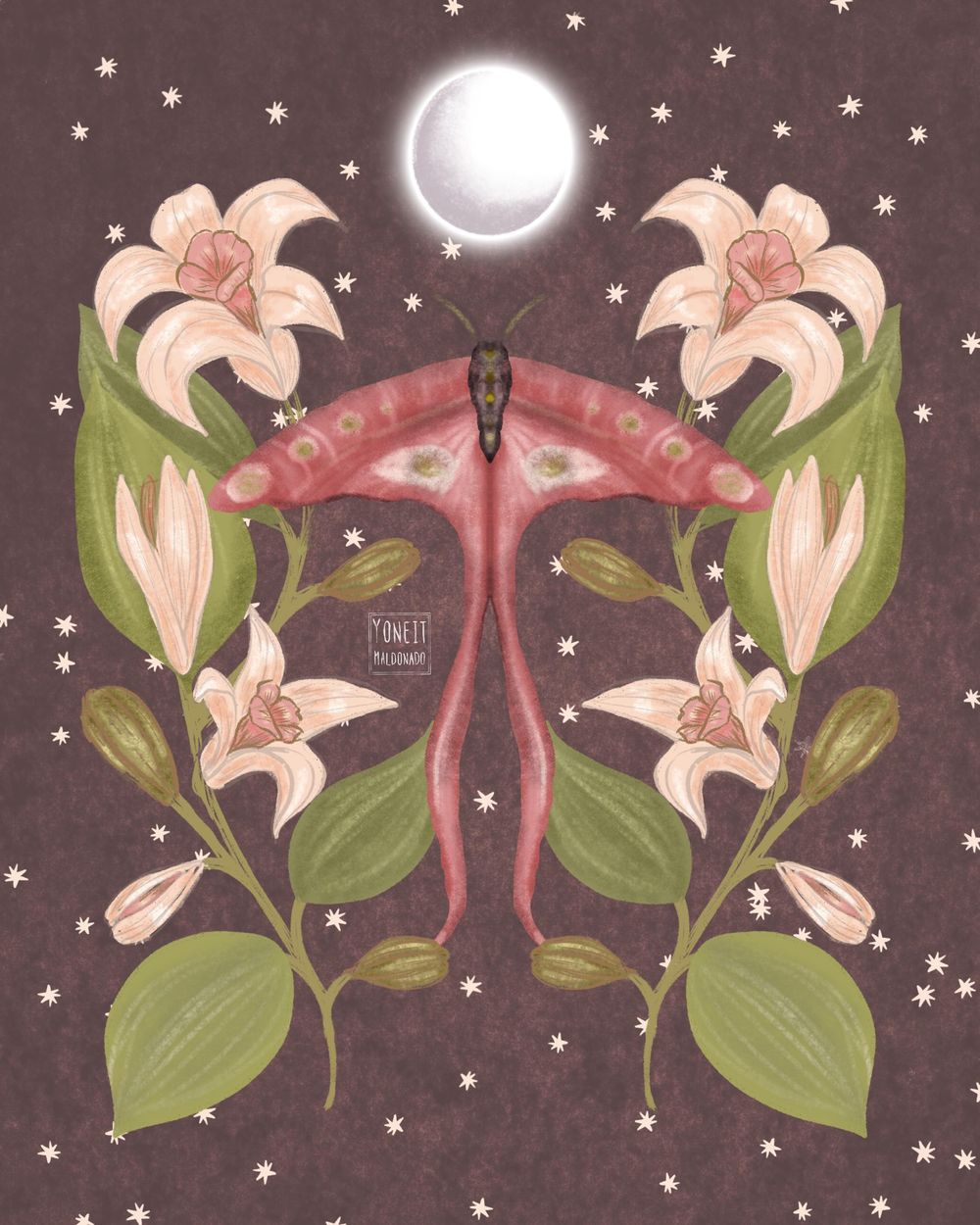 Magical moth | Skillshare Student Project