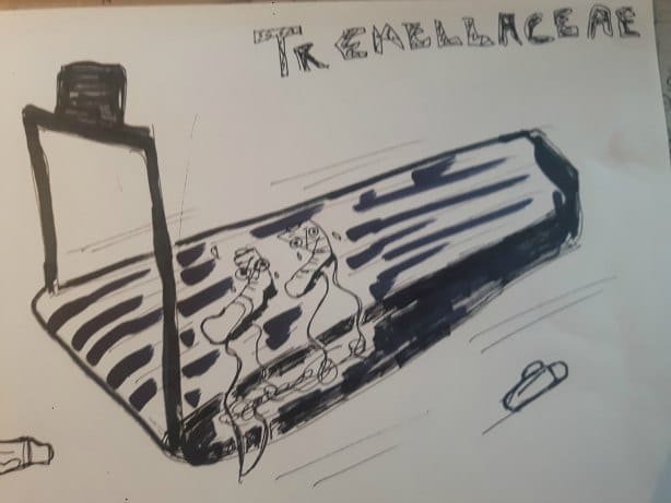 Random words, randomer doodles | Skillshare Student Project